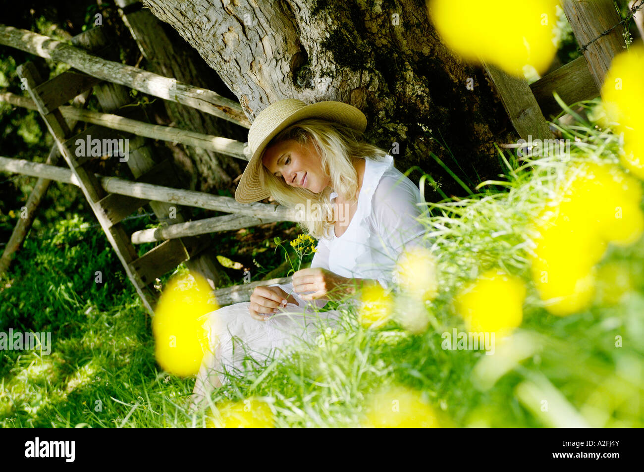 Young woman relaxing under tree Stock Photo - Alamy Young woman relaxing under tree Stock Photo - Alamy