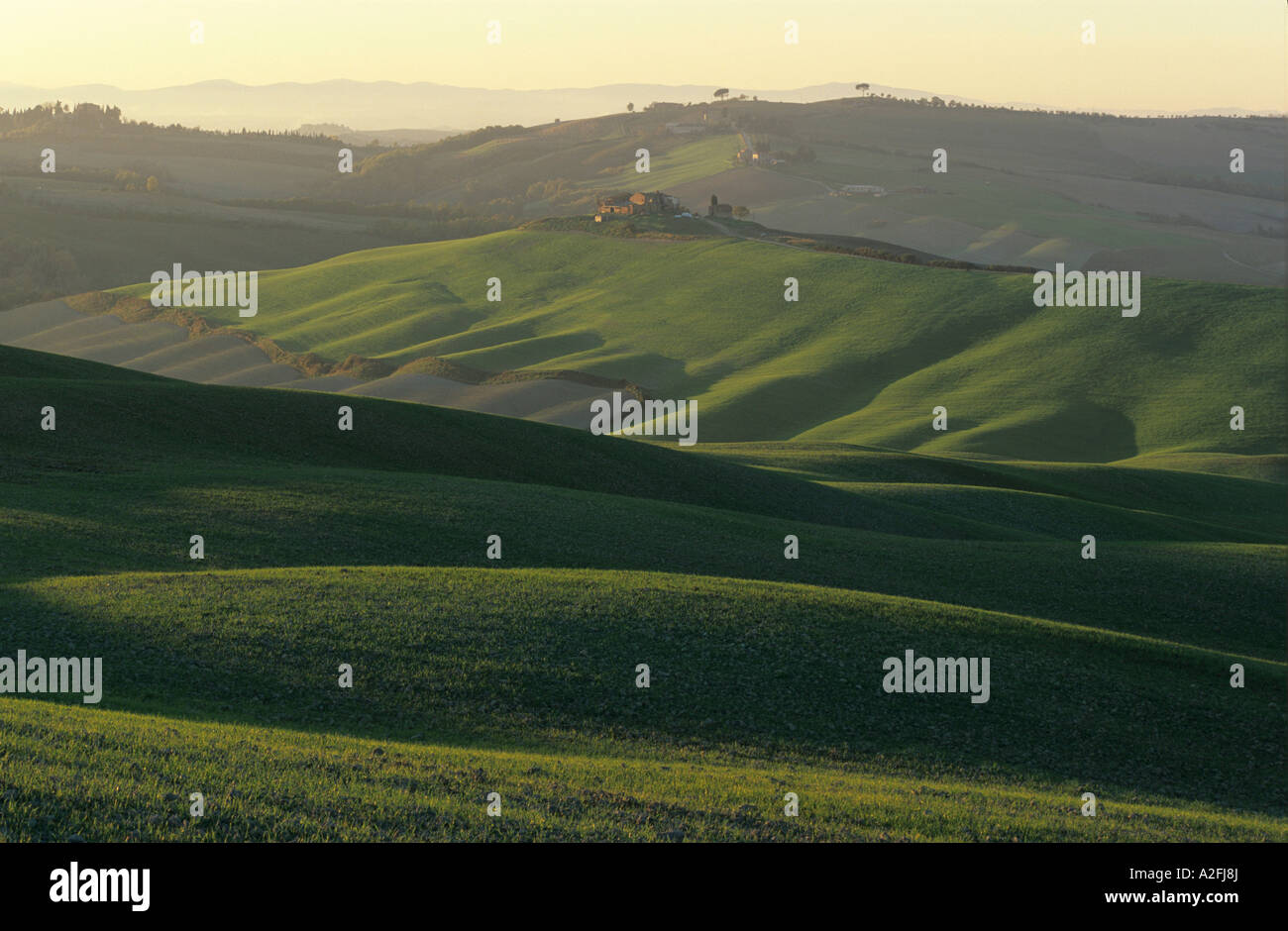 Italy, Tuscany, homestead in landscape Stock Photo - Alamy