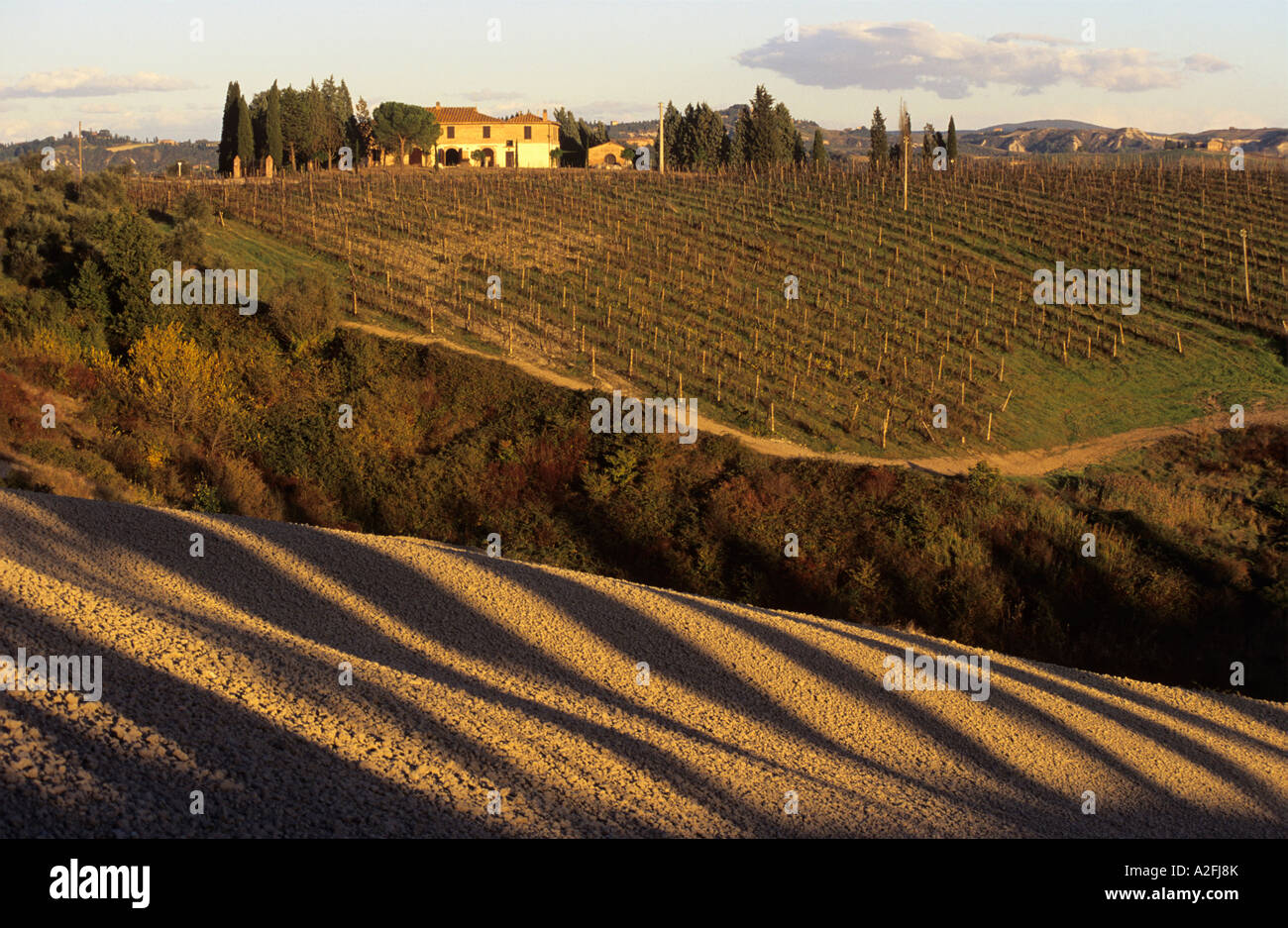 Italy, Tuscany, homestead in landscape Stock Photo - Alamy
