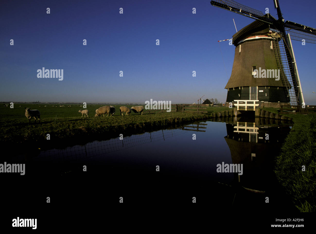 Europe, Netherlands, Volendam. Windmill Stock Photo - Alamy