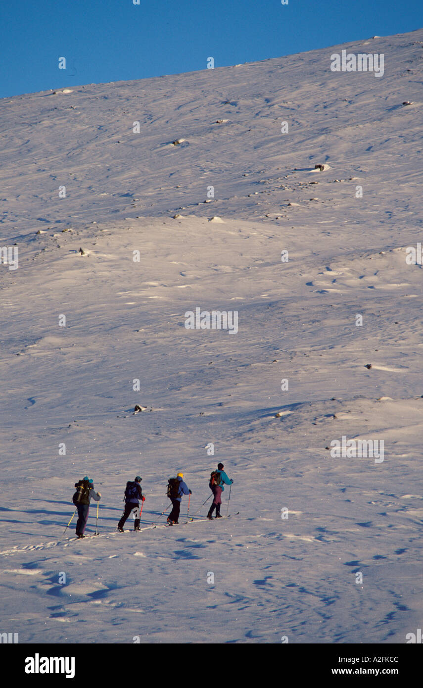 Cross country skiing norway hi-res stock photography and images - Alamy
