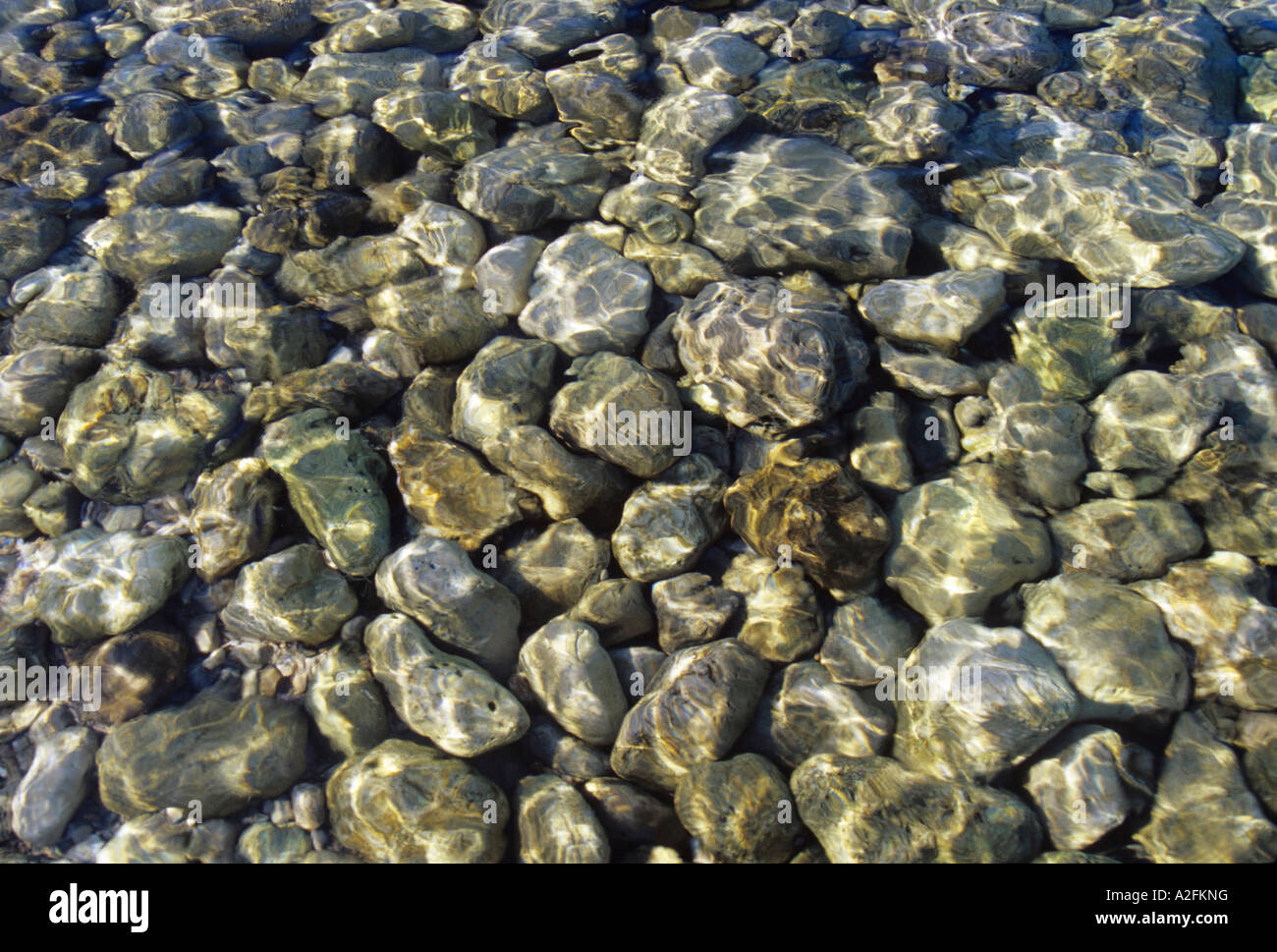 Stones in water Stock Photo - Alamy
