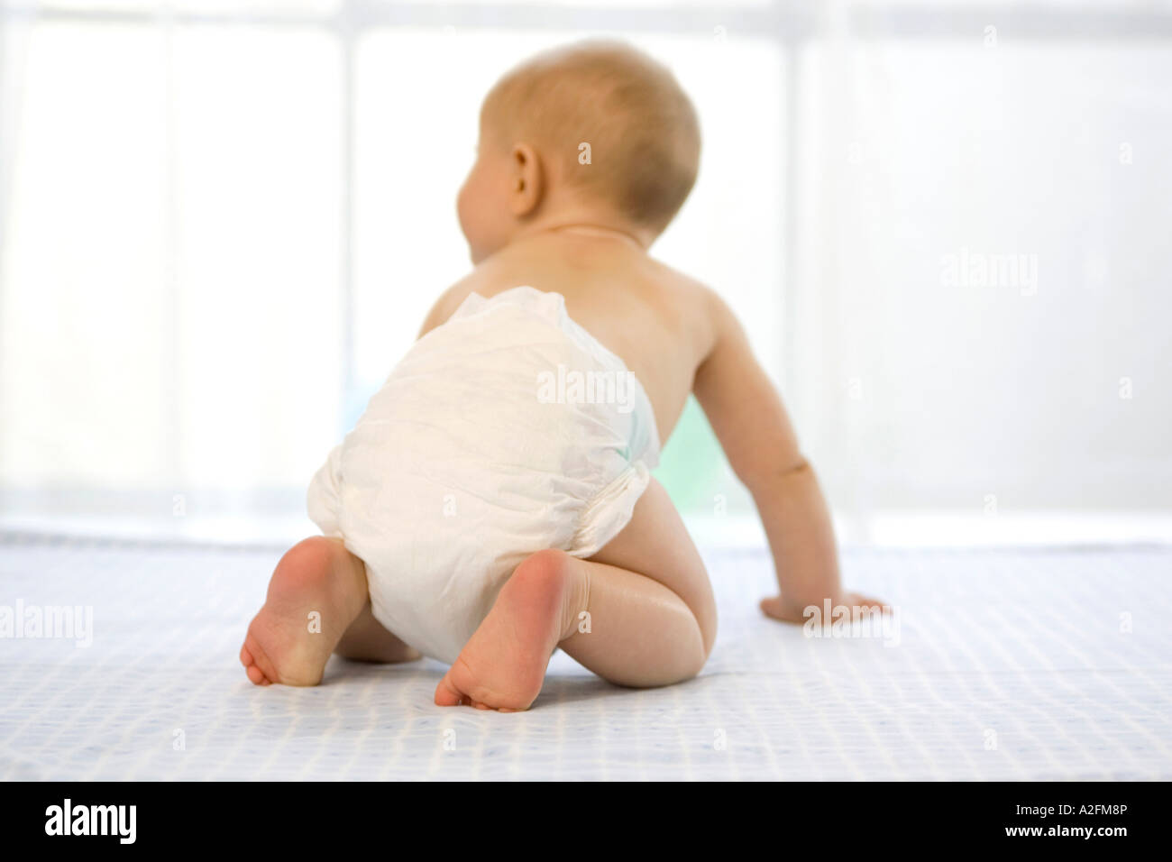 Baby diapers crawling rear hi-res stock photography and images - Alamy
