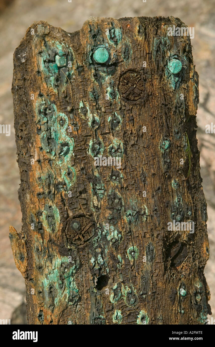 norway, north sea, ship timber with copper nails Stock Photo - Alamy
