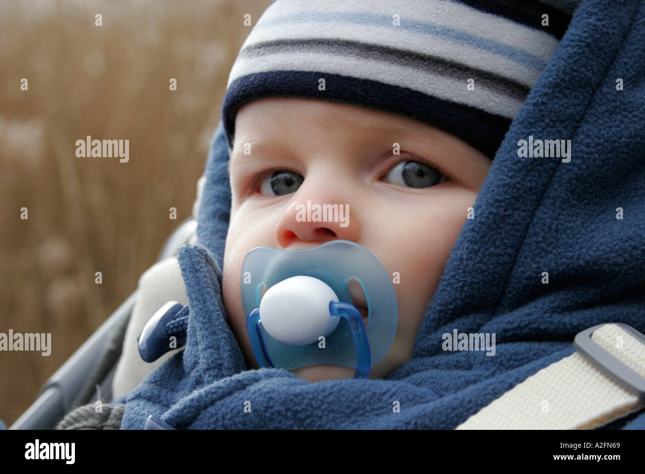 Baby dummy in pram hi-res stock photography and images - Alamy