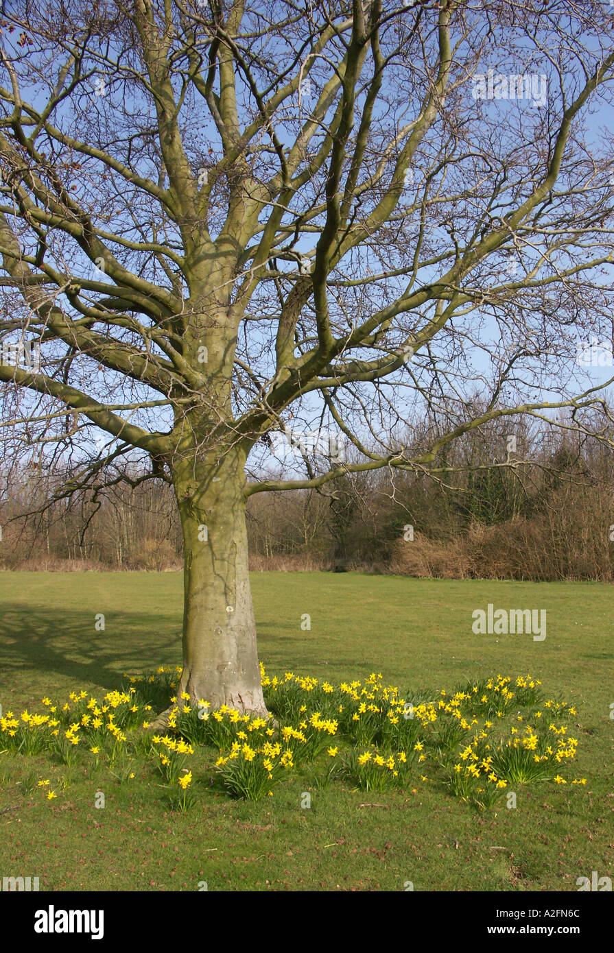 Withdean hi-res stock photography and images - Alamy