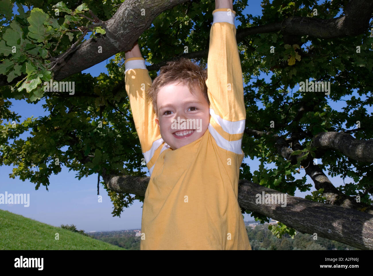 Boy hanging on tree, portrait Stock Photo - Alamy