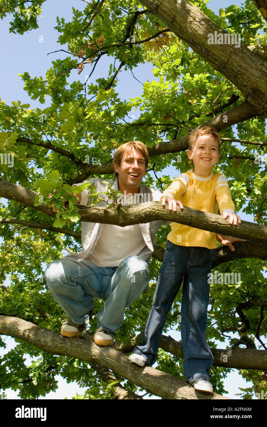 Father and son (4-7) on tree, low angle view Stock Photo - Alamy