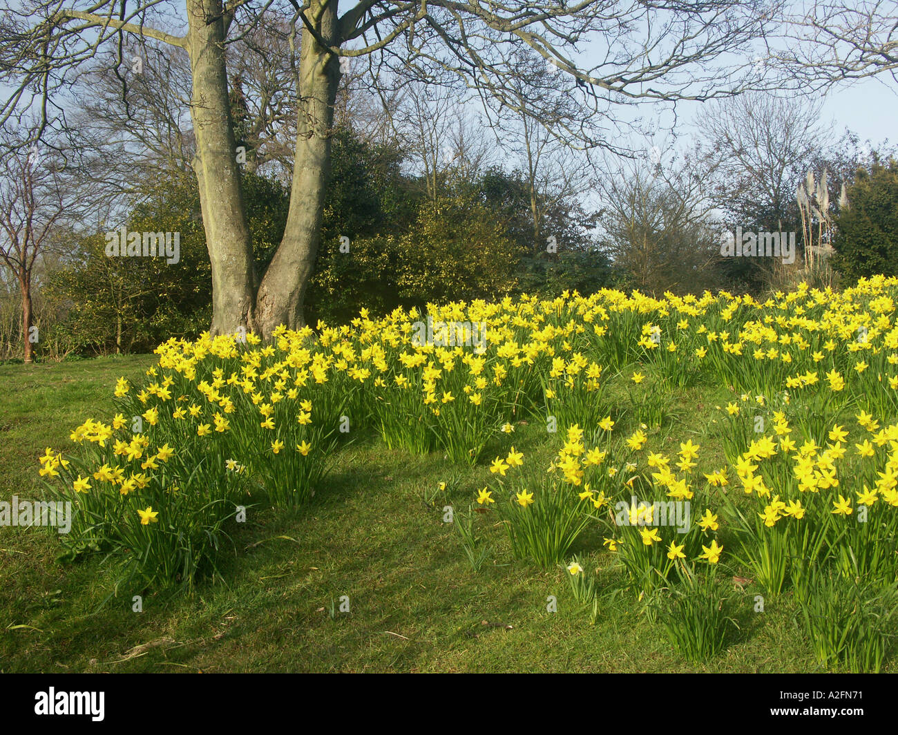Withdean Park Brighton East Sussex England Stock Photo - Alamy