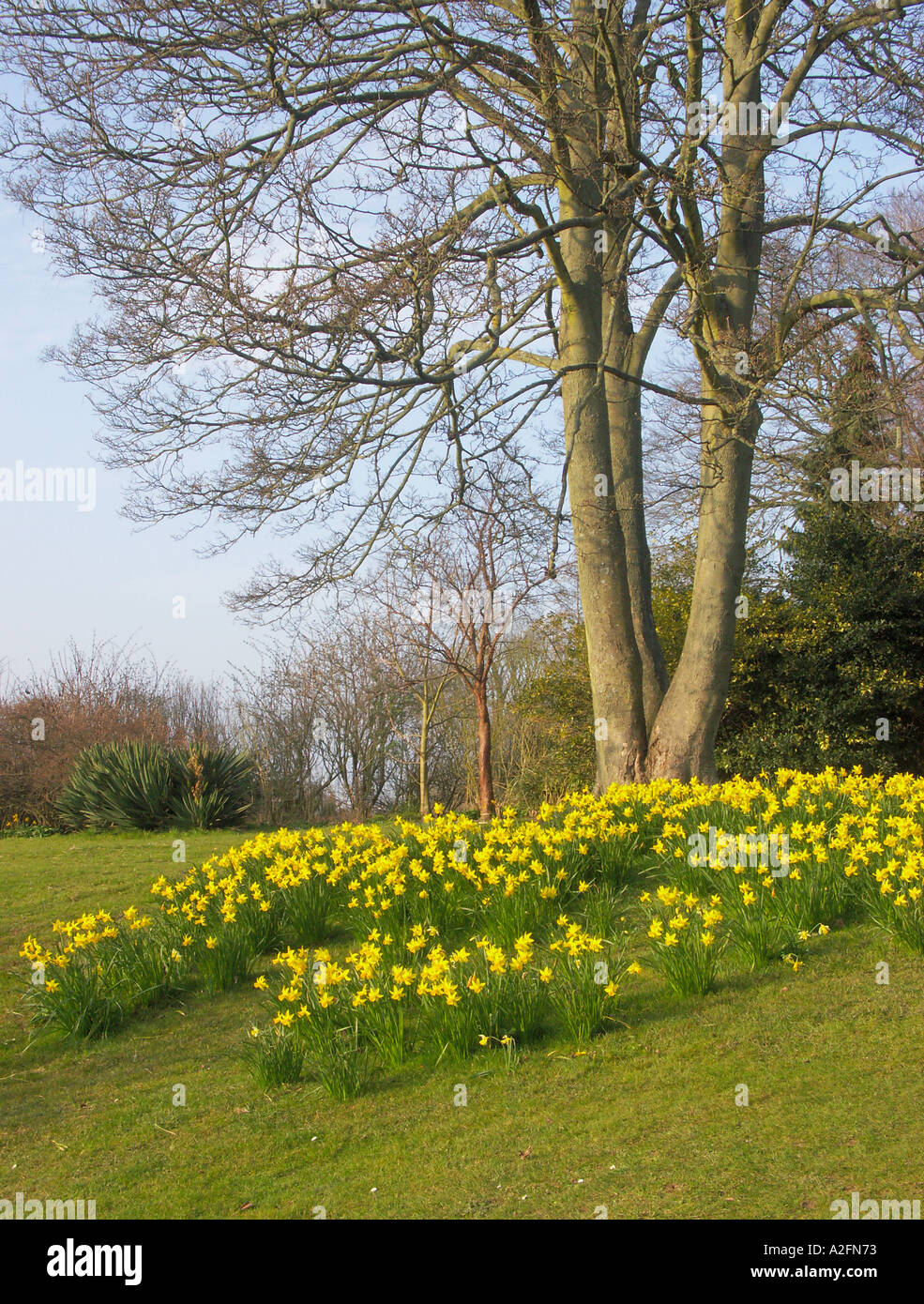 Withdean Park Brighton East Sussex England Stock Photo - Alamy