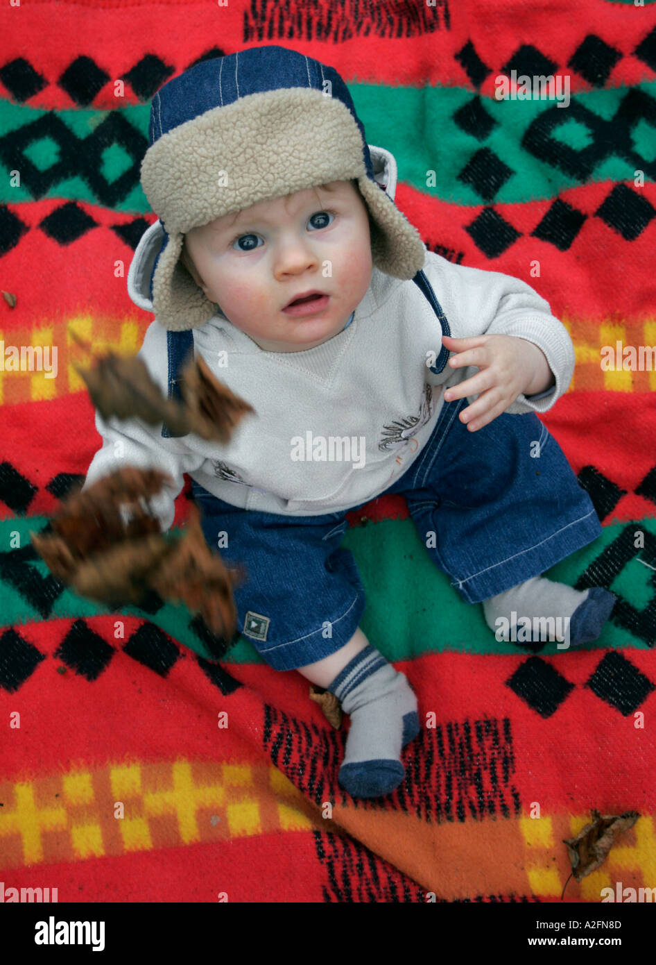 Bearskin rug hi-res stock photography and images - Alamy