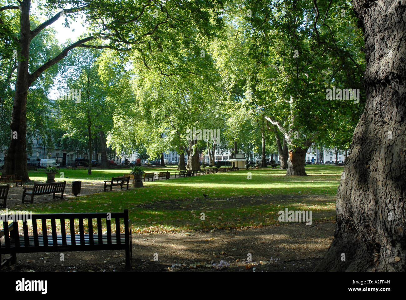 Berkeley Square in Mayfair London Stock Photo - Alamy