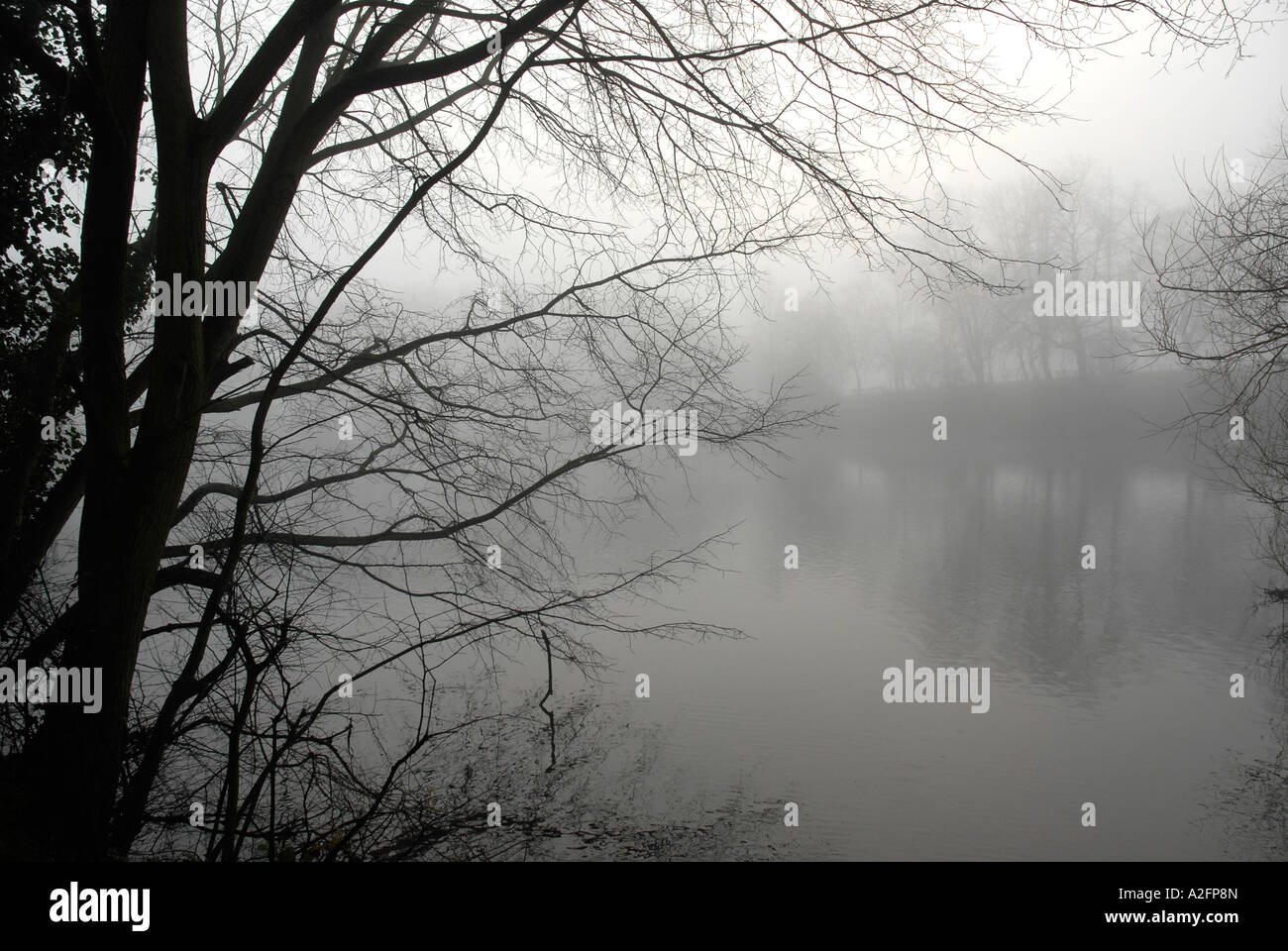 December fog on Hampstead Heath London Stock Photo - Alamy