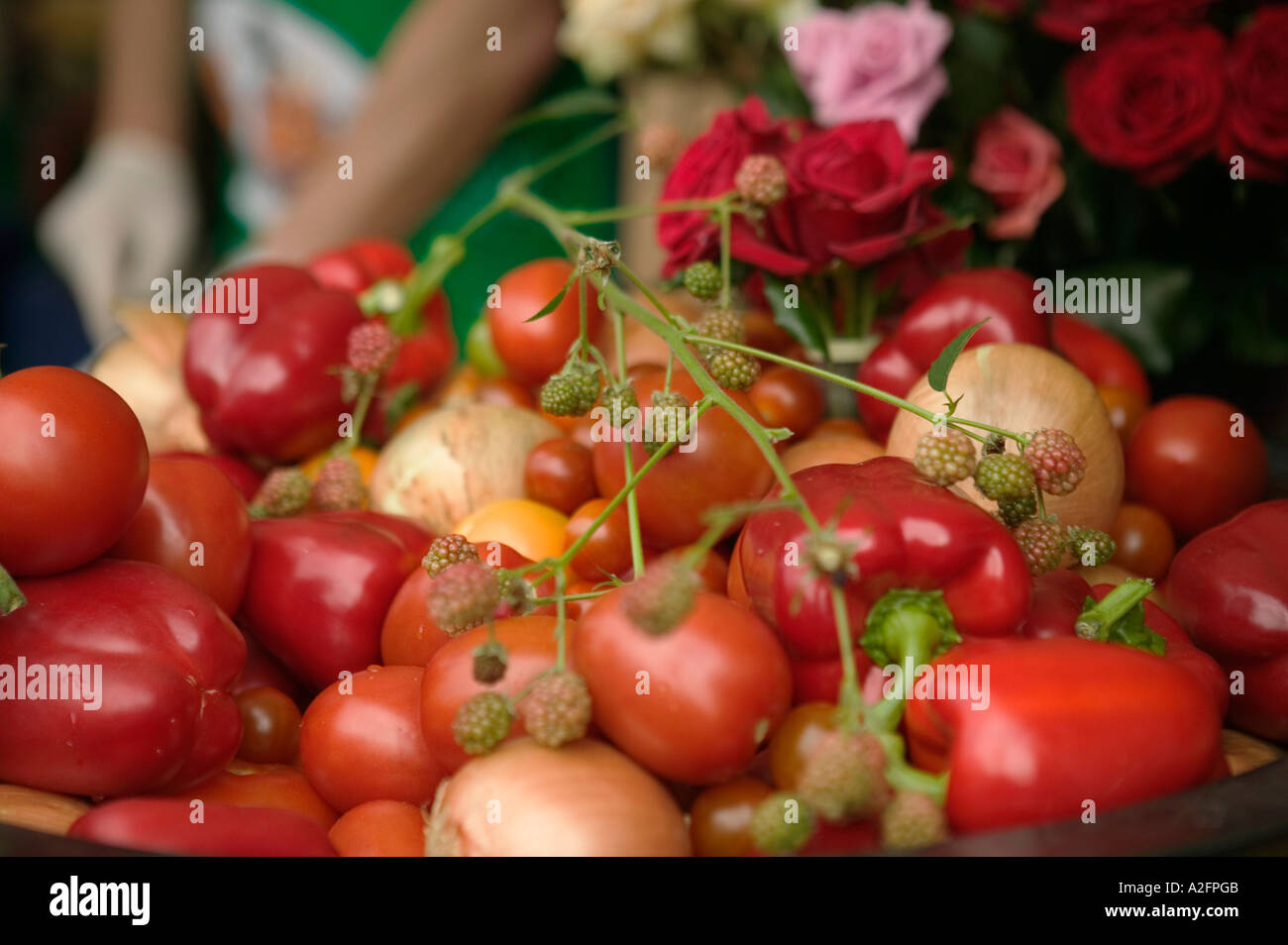 estival food Gladmat festival Historic, Stavanger Harbour, Norway (MR ...