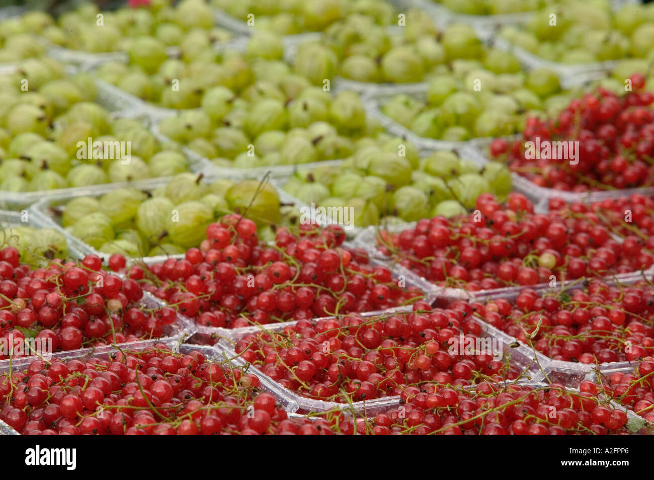 Berries at fruit market, Stavanger Harbour, Norway Stock Photo - Alamy