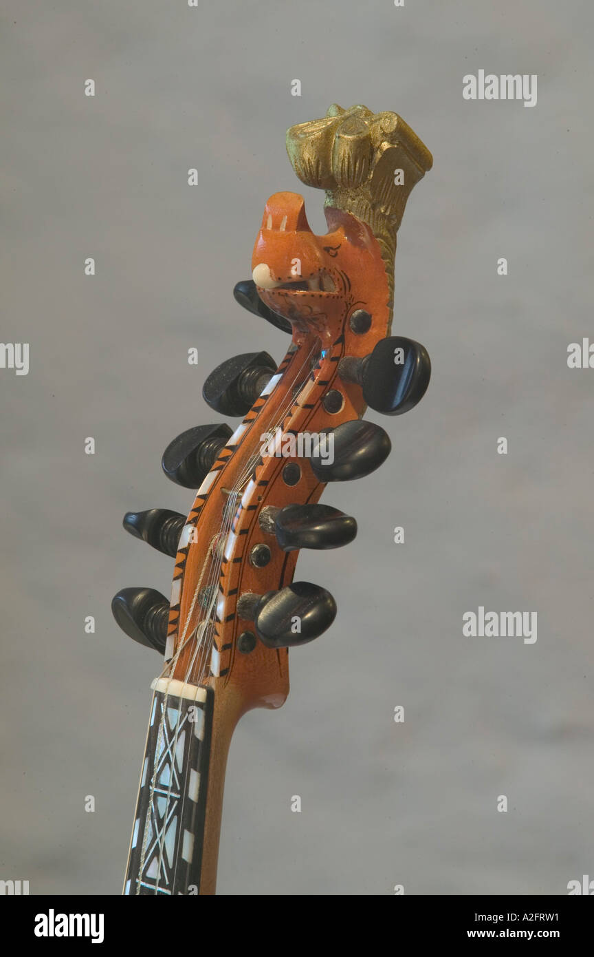 Hardanger fiddle, traditional Norwegian folk music with mother-of-pearl ...