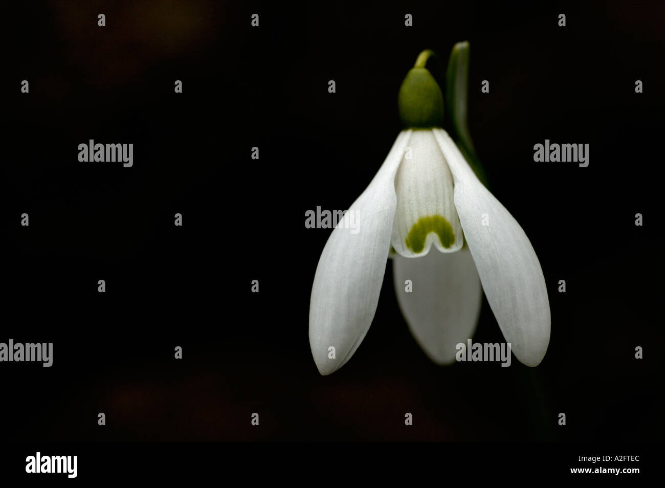 Straffan hi-res stock photography and images - Alamy