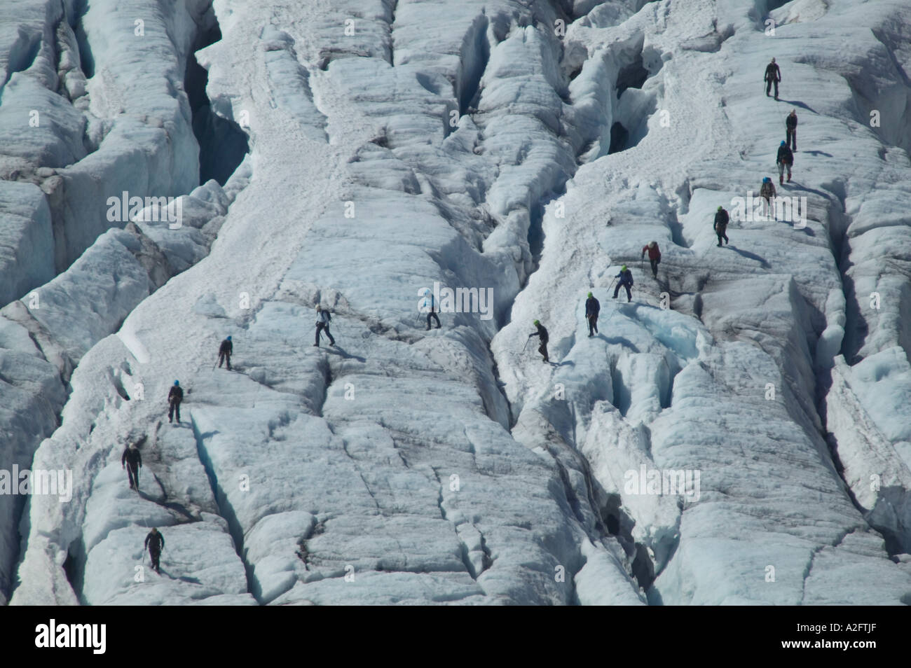Glacier hikers wind through the blue ice crevices and over snow fields ...