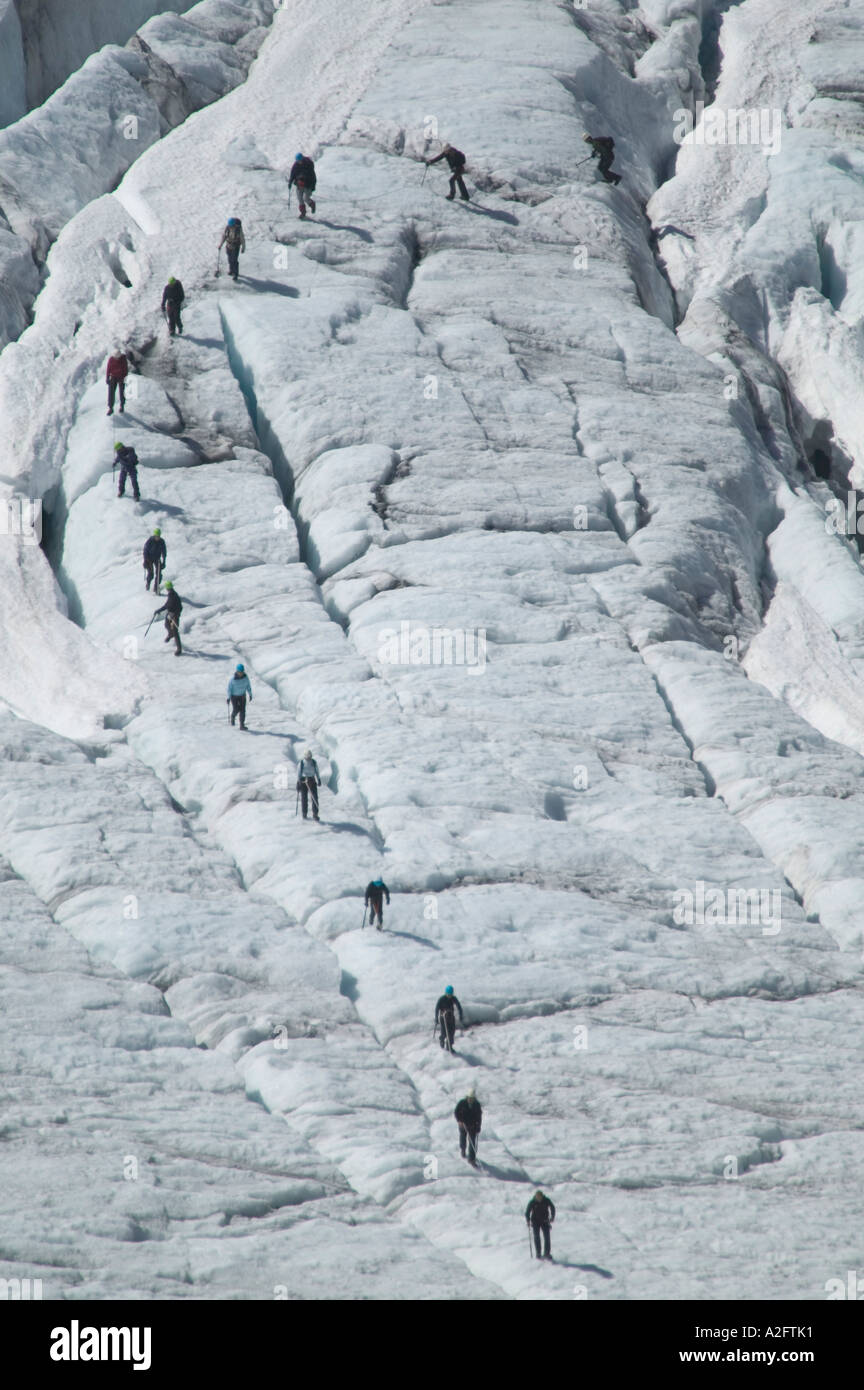 Glacier hikers wind through the blue ice crevices and over snow fields ...
