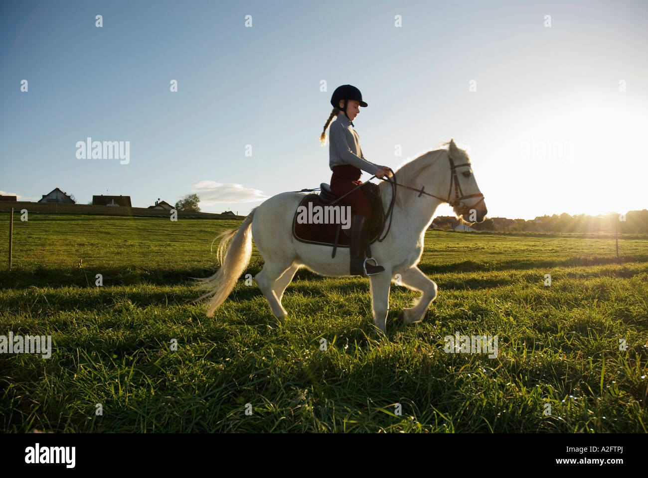 Girl (7-9) riding pony, side view Stock Photo - Alamy