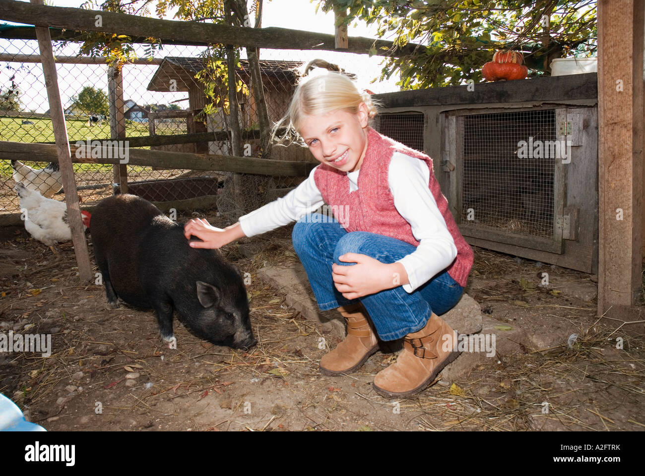 Girl with pot-bellied pig in barn Stock Photo - Alamy