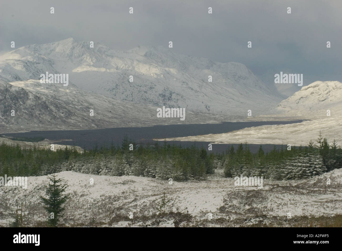 Scottish storm hi-res stock photography and images - Alamy