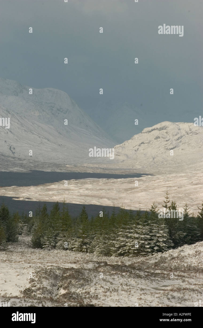 Scottish storm hi-res stock photography and images - Alamy