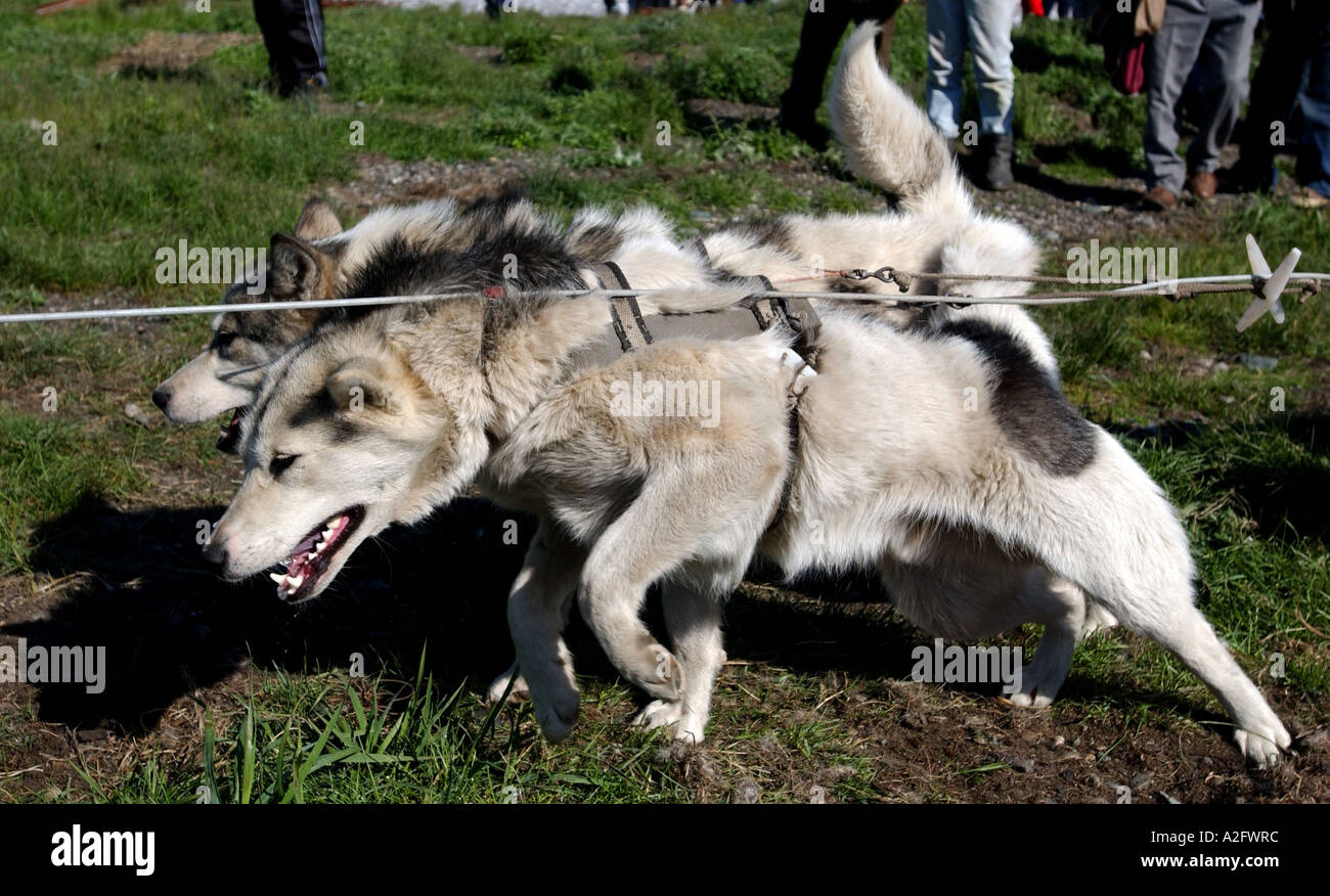 Yanrakinnot village hi-res stock photography and images - Alamy