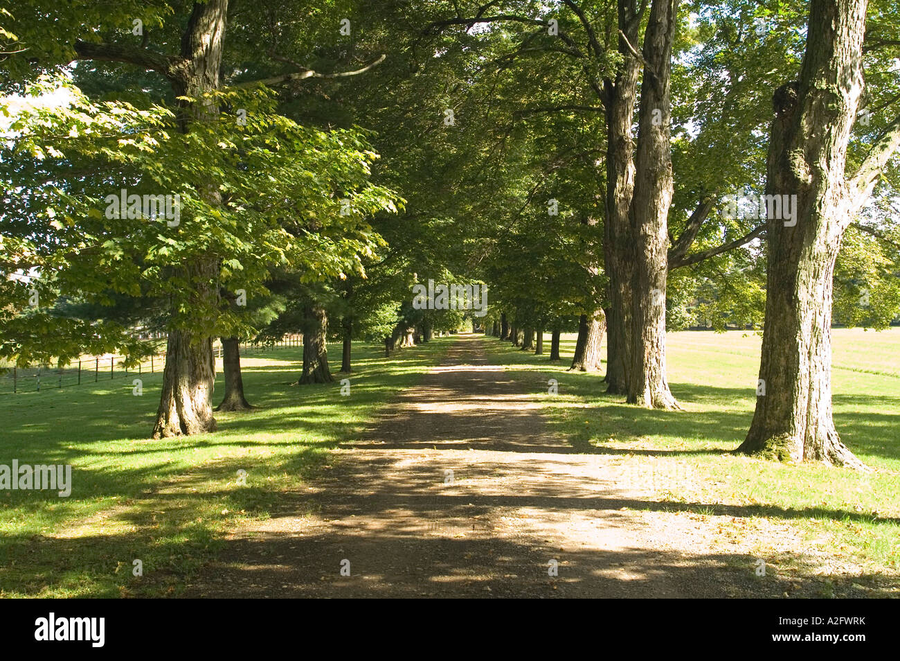Springwood Estate, Franklin D. Roosevelt National Historic Site, Hyde ...
