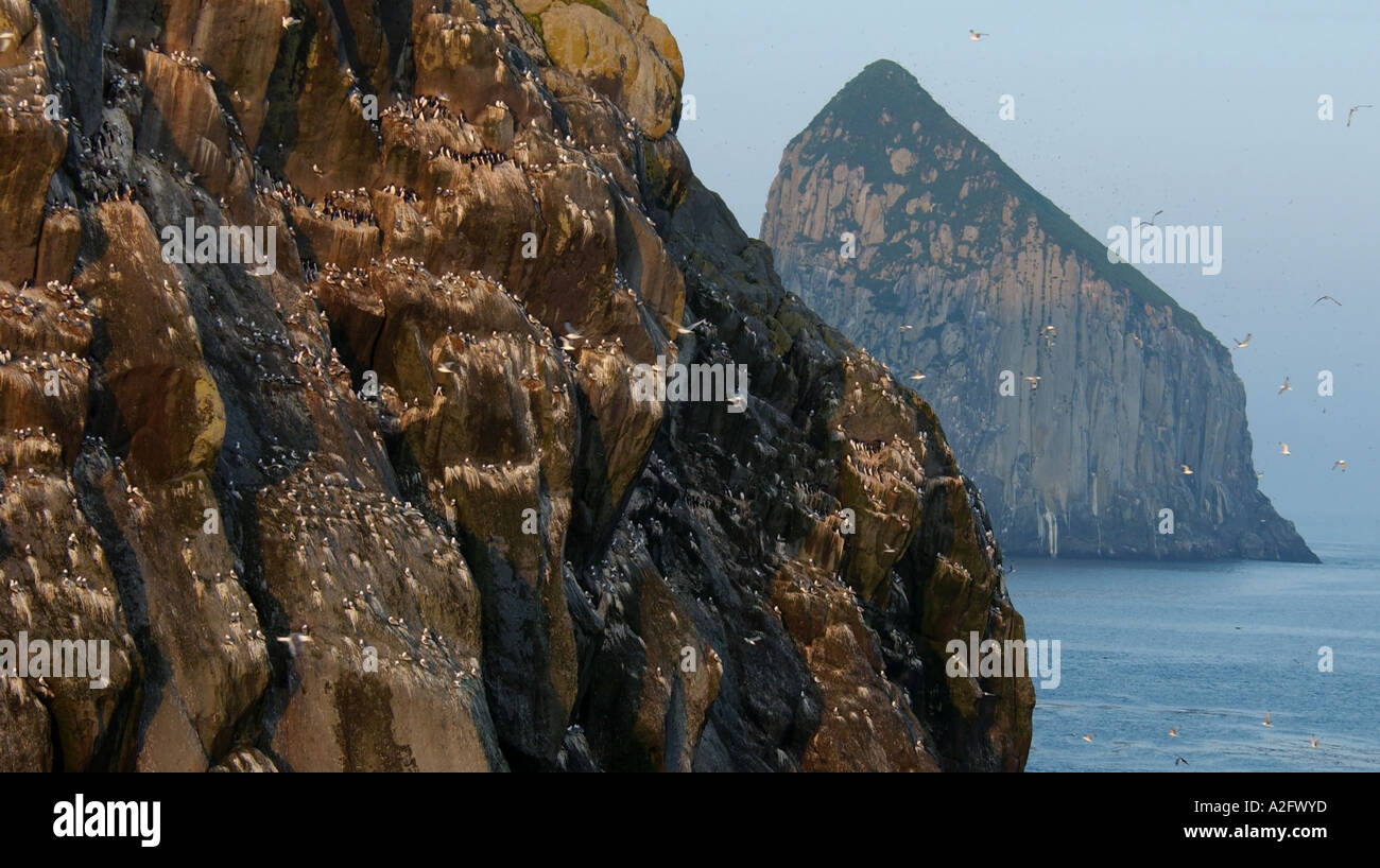 Asia, Russia, Russian Far East, Kamchatkan Peninsula, Kuril Islands ...