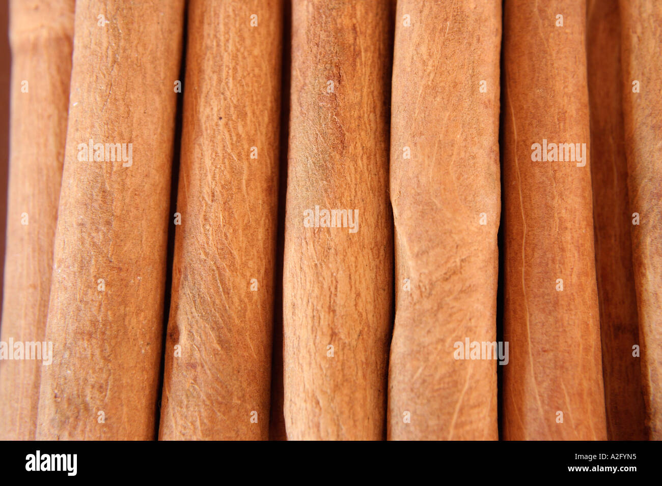 Rows of cinnamon sticks Stock Photo - Alamy