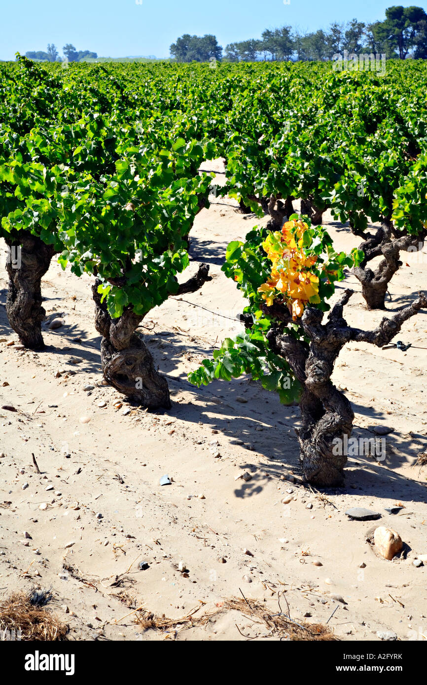 Listel hi-res stock photography and images - Alamy