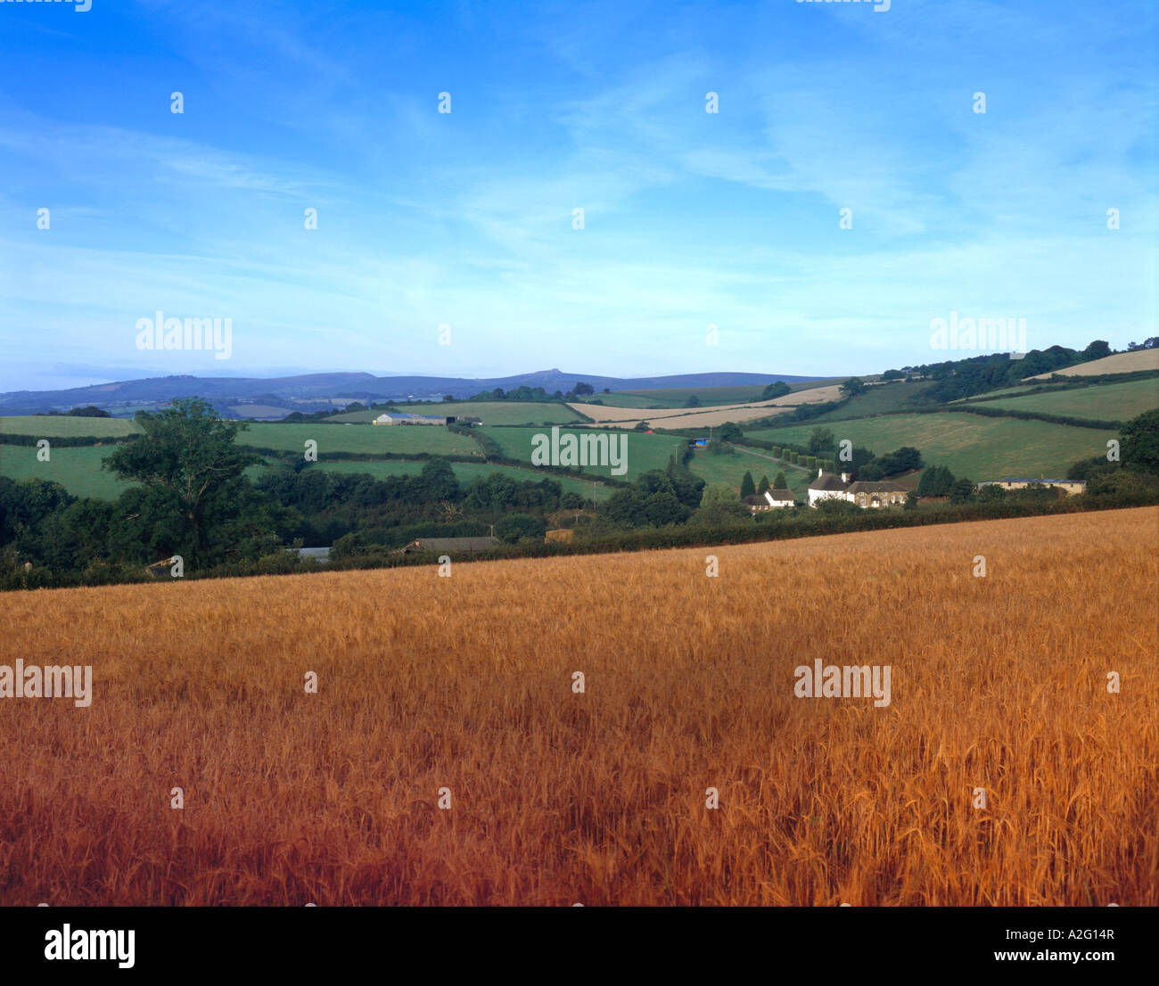 rural landscape, near bovey tracey, devon, england Stock Photo - Alamy