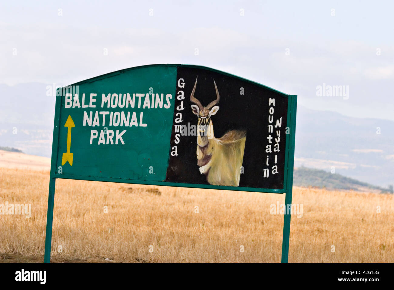 Bale Mountains National Park, Ethiopia, Africa Stock Photo - Alamy