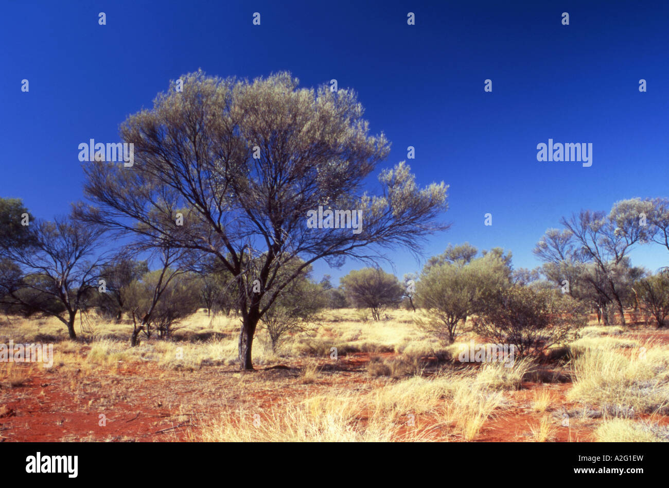 Harsh bright australian sun hi-res stock photography and images - Alamy