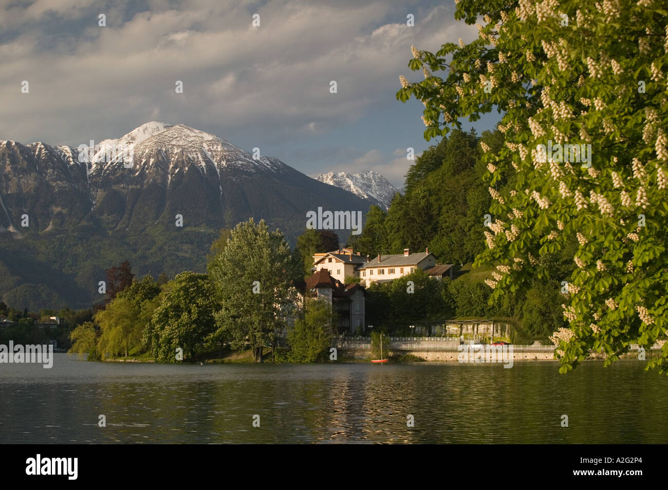 SLOVENIA, GORENJSKA, Bled: Lake Bled View from Mlino Village Stock ...