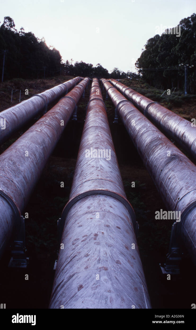 Feeder pipes delivering water to Tungatinah hydroelectric power station ...