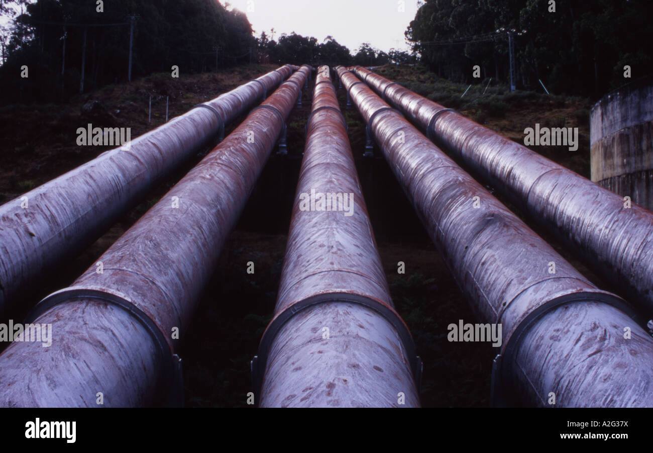 Feeder pipes delivering water to Tungatinah hydroelectric power station ...