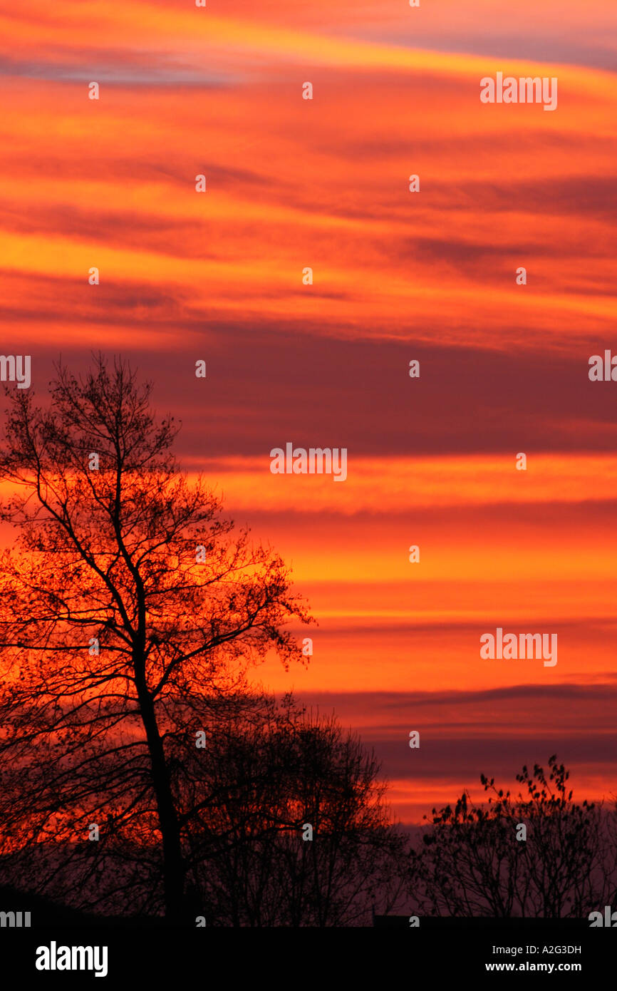 Blazing winter colour hi-res stock photography and images - Alamy