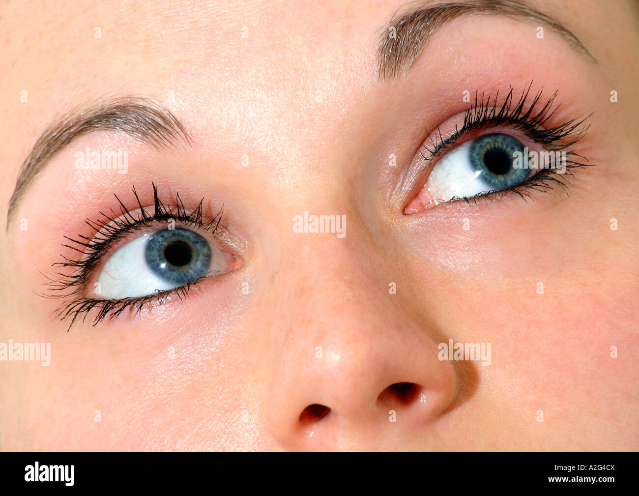 Sight pupil iris make up nose eyebrow female hi-res stock photography ...
