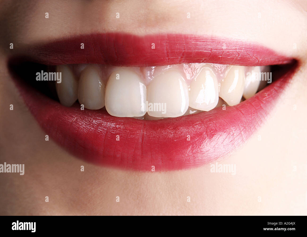 1220874 hi-res stock photography and images - Alamy