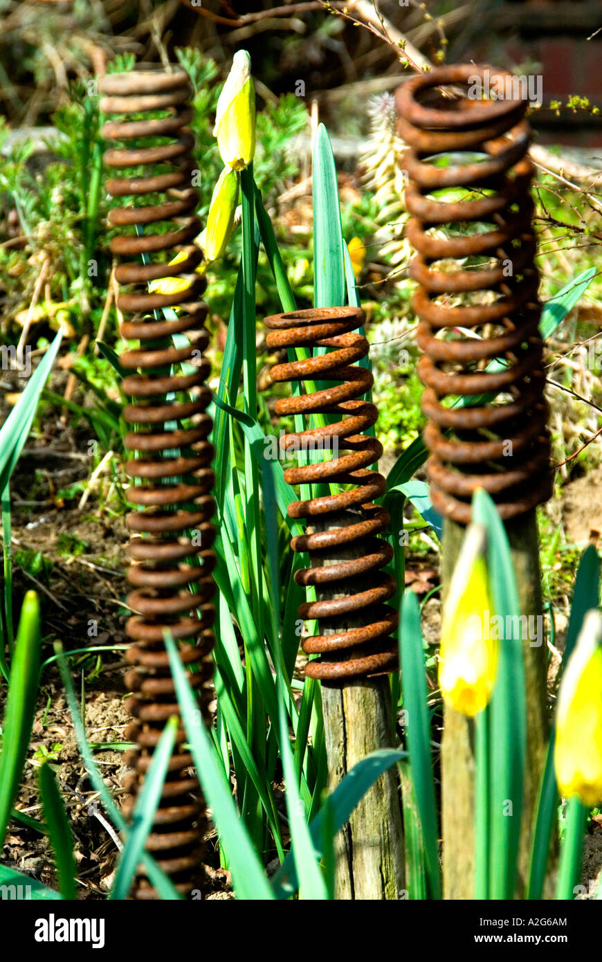Spring has sprung Stock Photo - Alamy