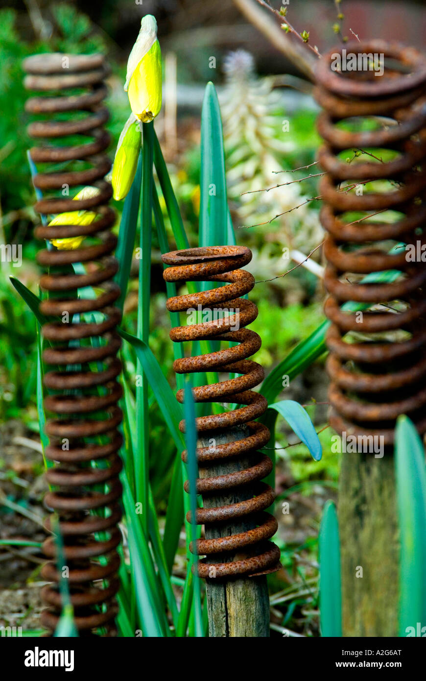 Spring has sprung Stock Photo - Alamy