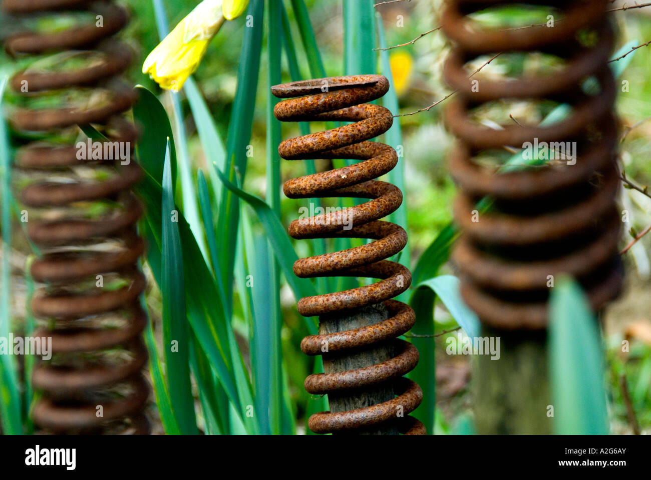 Spring has sprung Stock Photo - Alamy