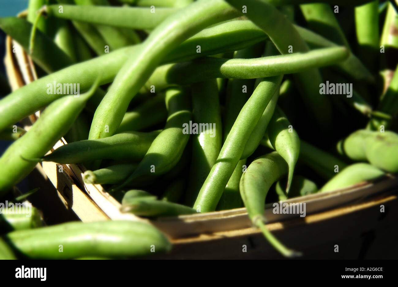 Bushel of beans hi-res stock photography and images - Alamy