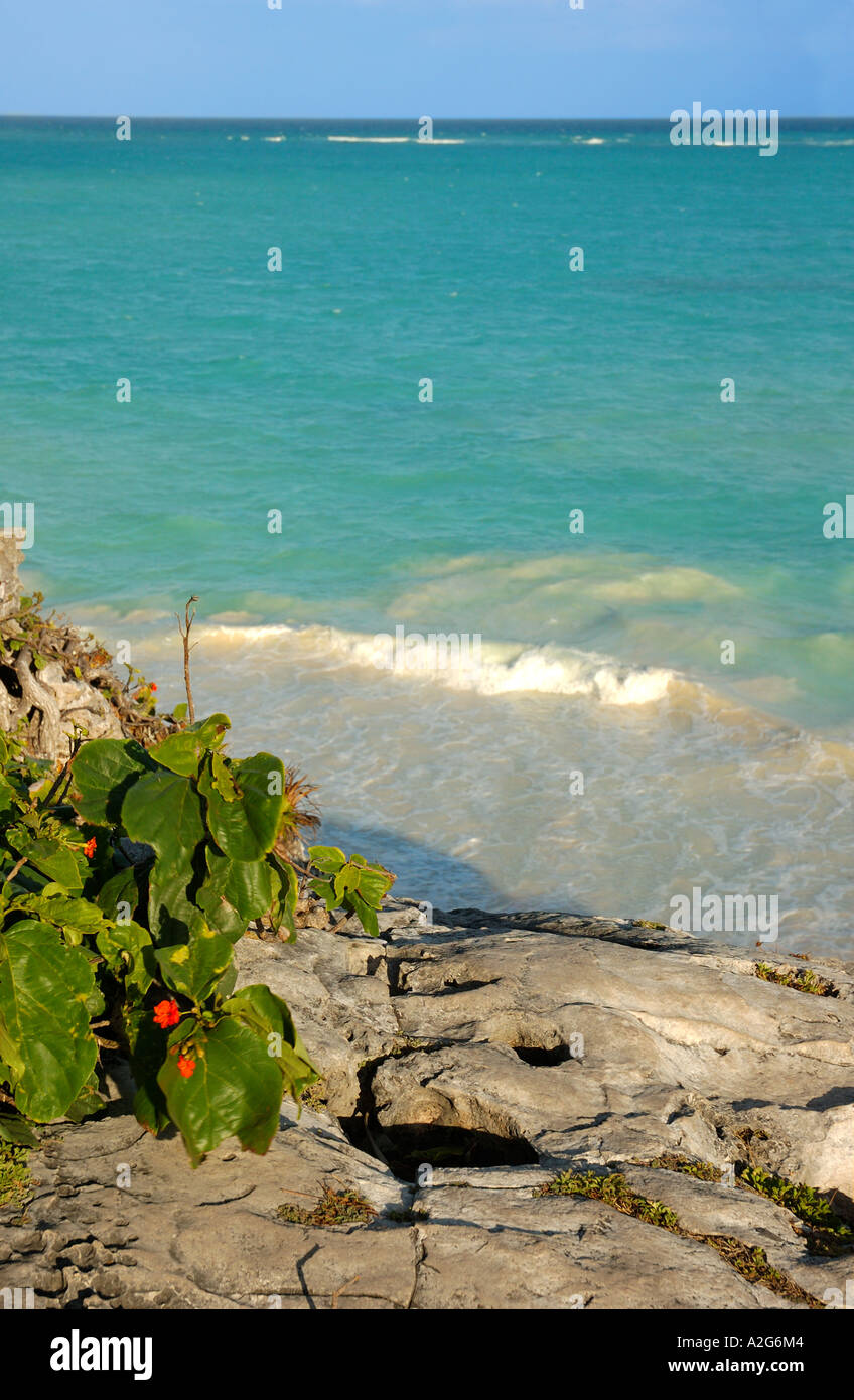 Mexico, Tulum, View of Caribbean Sea from cliffs Stock Photo - Alamy