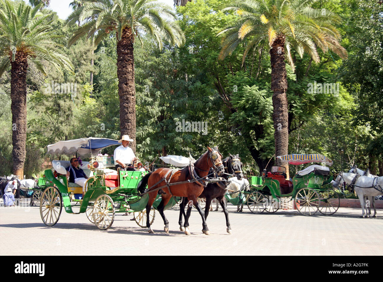 Open caleche hi-res stock photography and images - Alamy