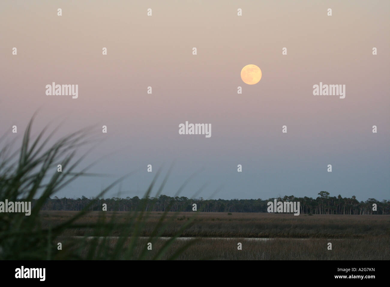 Moon over estuary Stock Photo - Alamy