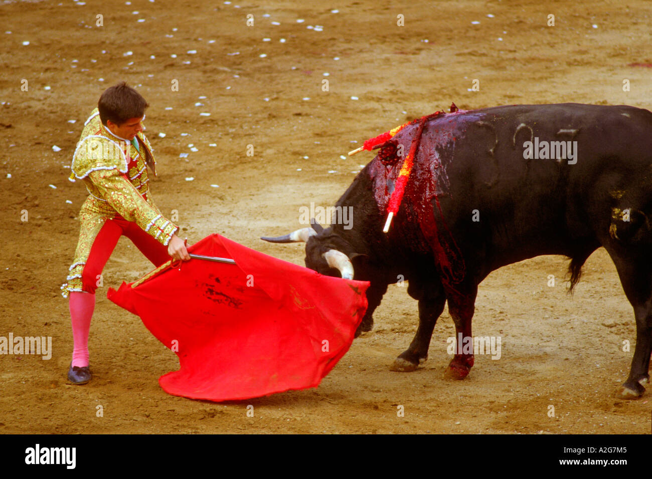 Mexico, San Luis Potosi. Famed Spanish matador in action at Monumental ...