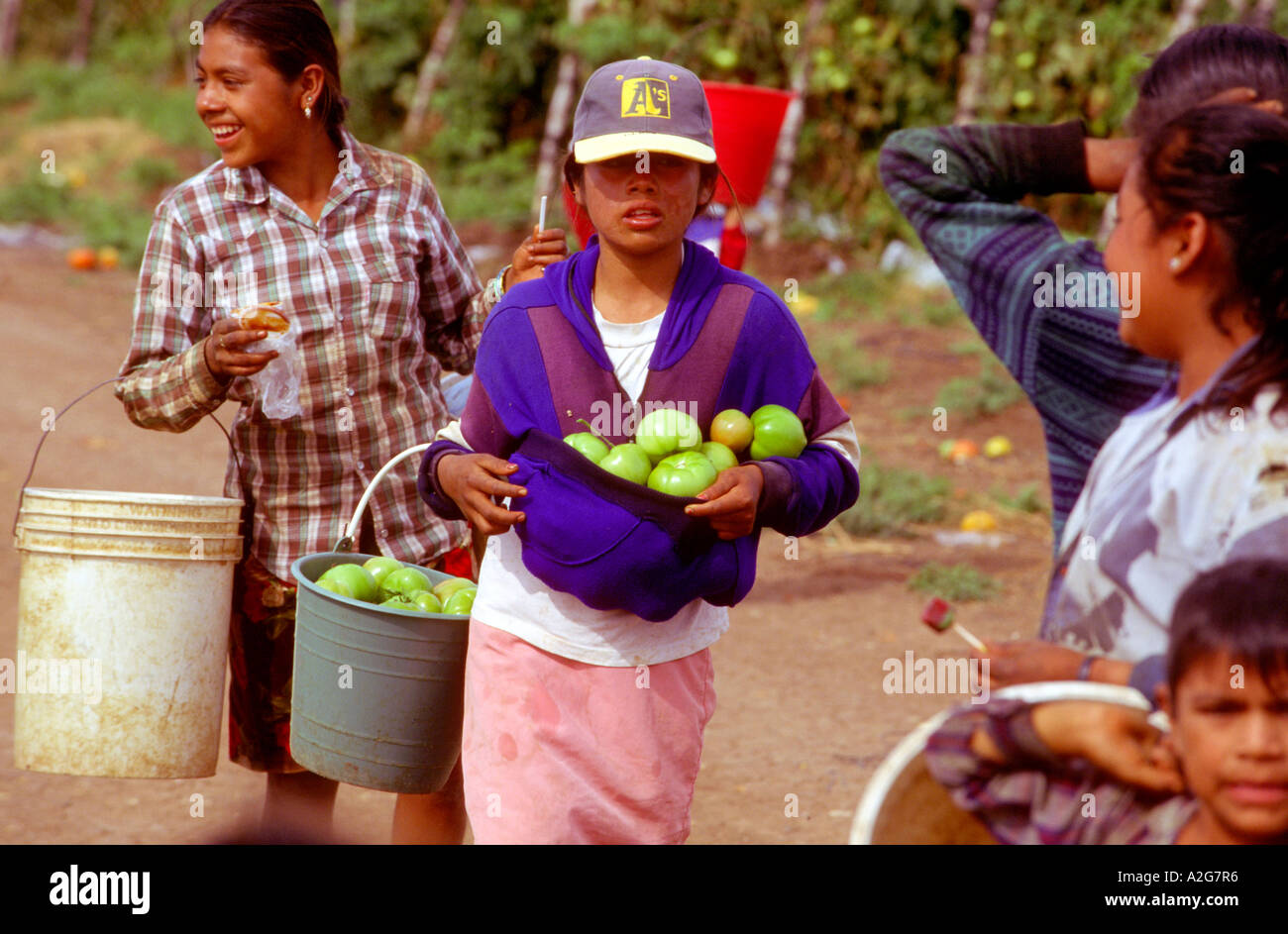Mexico, Sinaloa, Tayolita-Elota, North America. Indigenous families ...